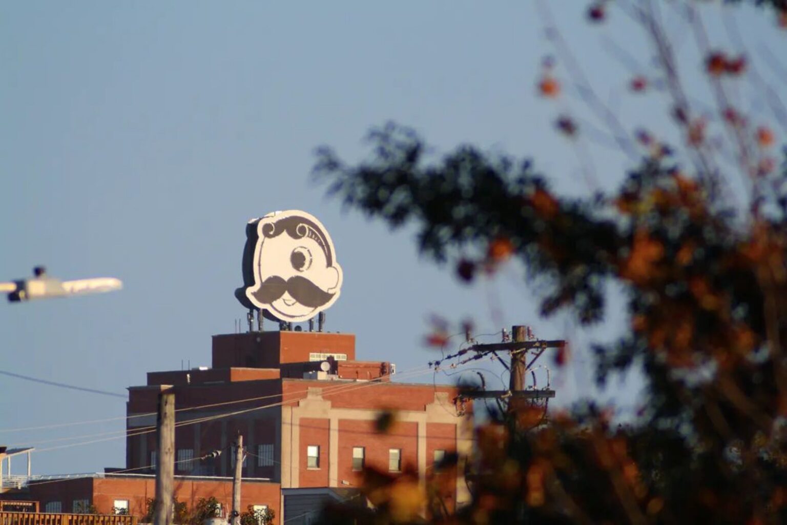 20 Questions with Suzi Senna - Live Baltimore