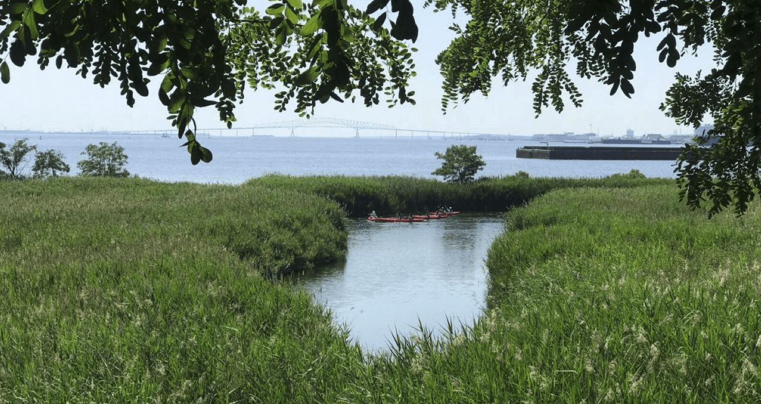 Community Developments in Middle Branch You Want to Know About - Live ...